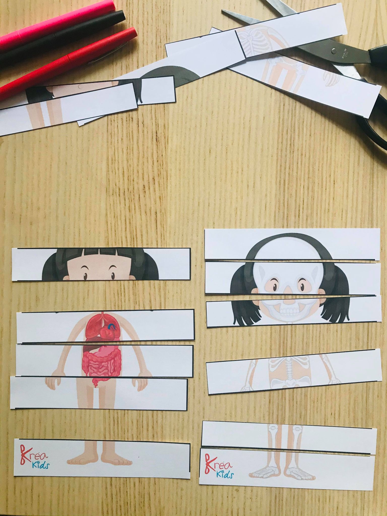 Puzzles corps humain à imprimer en avant la découverte - Kreakids