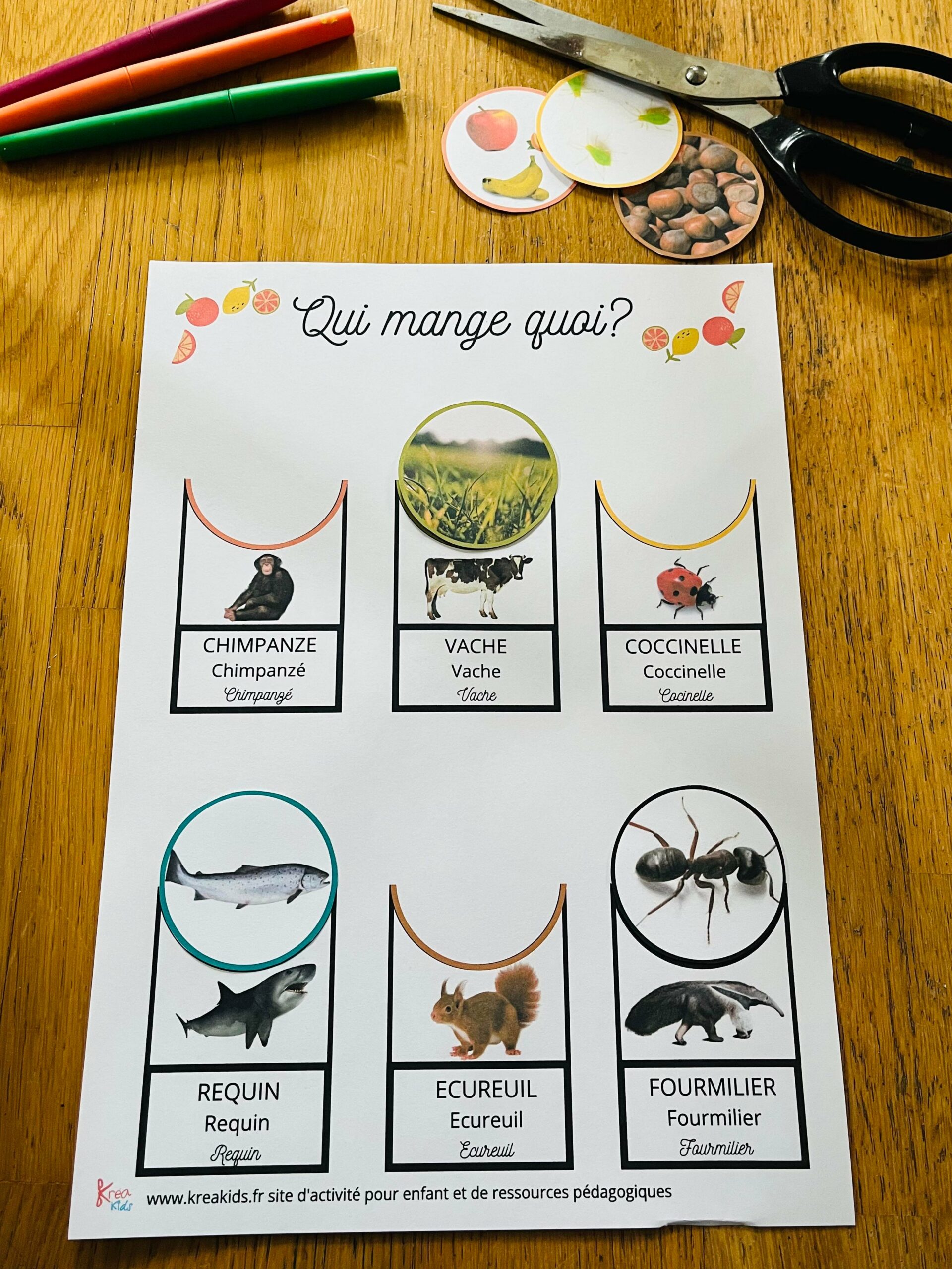 Activité montessori pour enfant sur les animaux - Kreakids