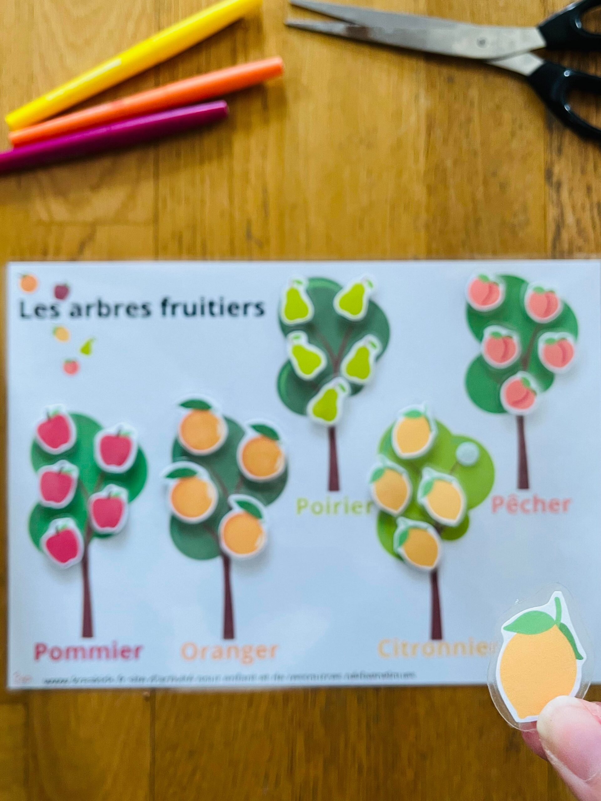 Support sur les arbres fruitiers gratuit à imprimer - Kreakids
