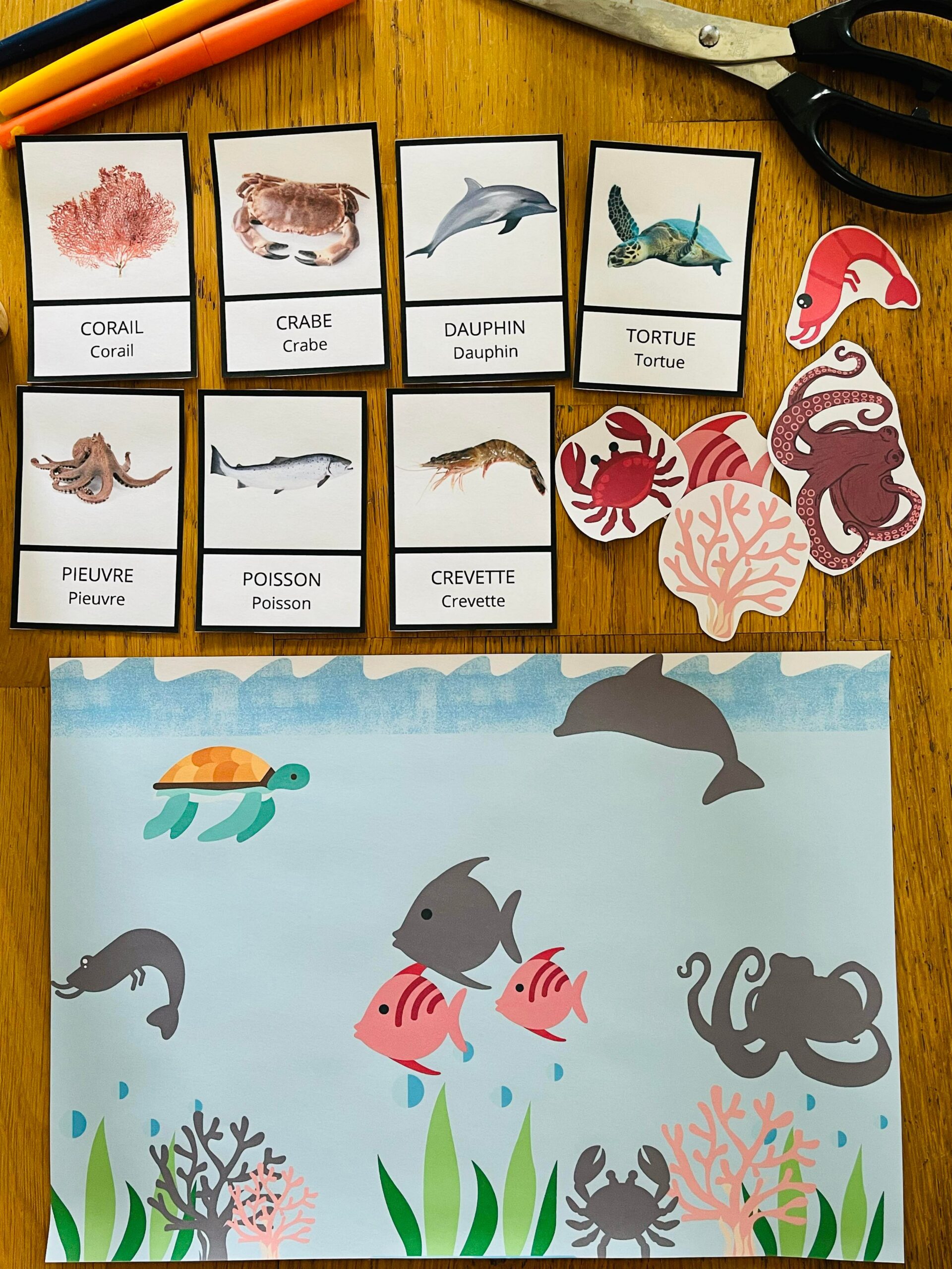 Carte de nomenclature animaux de la mer gratuite - Kreakids