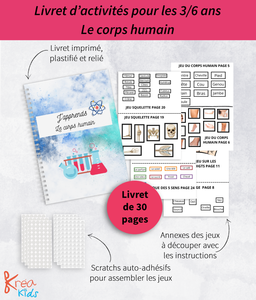 Cahier d'activités sur le corps humain en kit - Kreakids