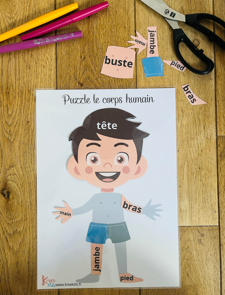 Puzzle corps humain gratuit - Kreakids